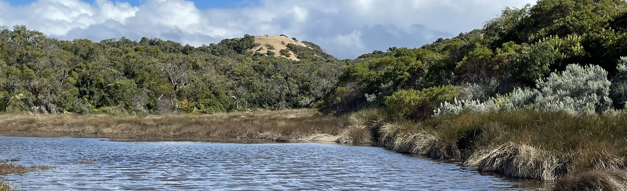 Leschenault Peninsula Ridge Walk, Western Australia, Australia - 10 ...
