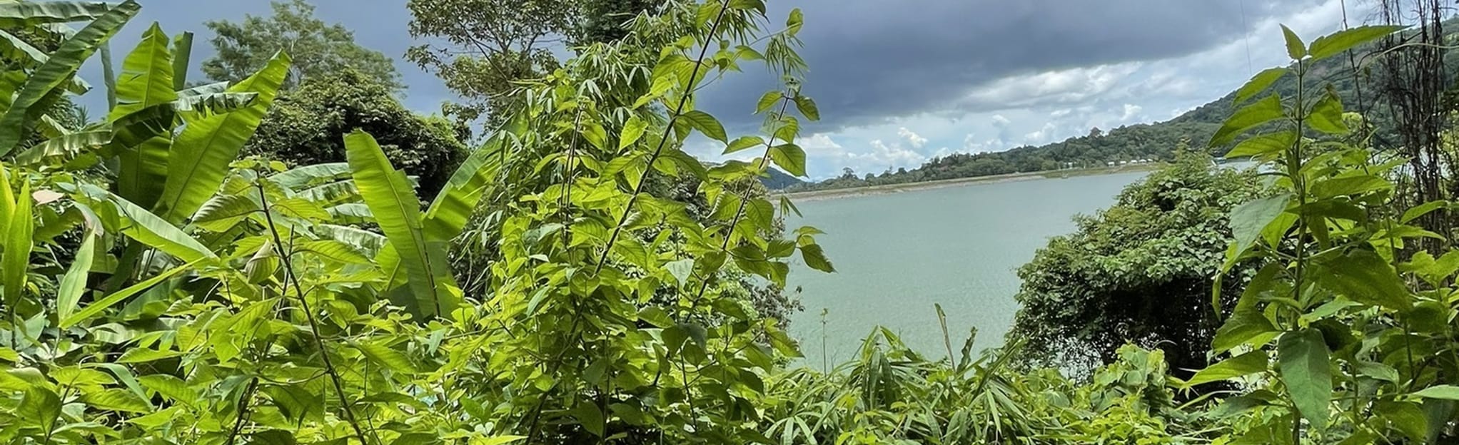 Bang Wad Reservoir Extended Cycle Loop, Phuket, Thailand - 11 Reviews ... Bang Wad Reservoir Extended Cycle Loop, Phuket, Thailand - 11 Reviews ...