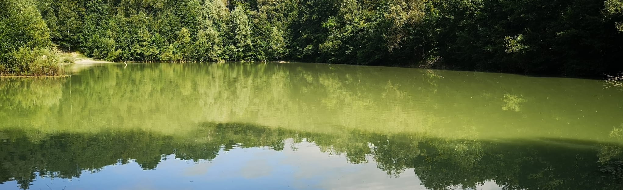Forêt de Carnelle - Lac Bleu et Le Petit Etang, 13 Photos - Val-d'Oise ...