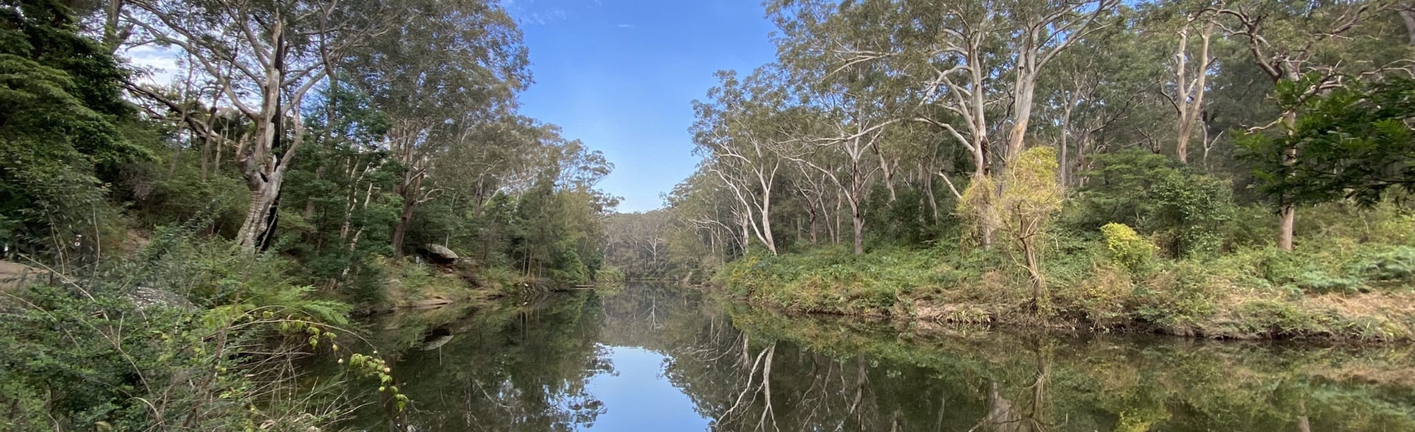 West Pymble to Hunter's Hill via Great North Walk: 30 Reviews, Map ...