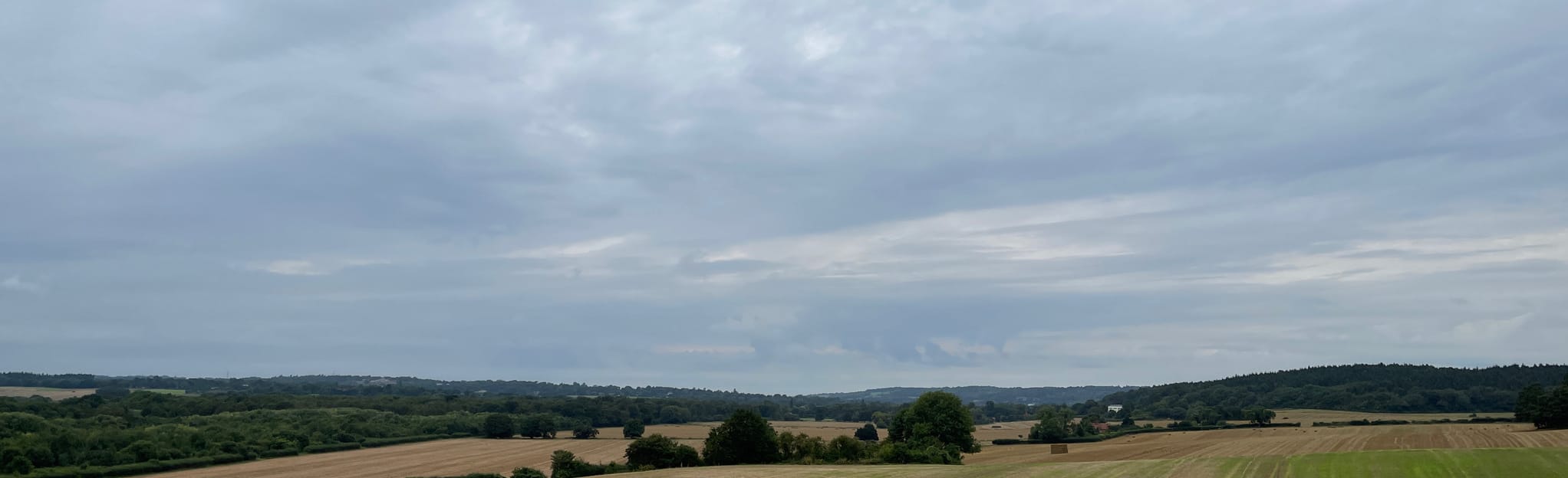 Sulham Woods and Wilder’s Folly Circular - Berkshire, England | AllTrails