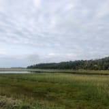 Grand Desert Beach Trail, Nova Scotia, Canada - 3 Reviews, Map | AllTrails
