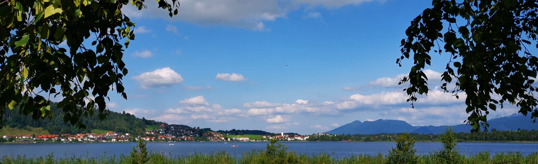 Hopfensee Loop, Bavaria, Germany - 78 Reviews, Map | AllTrails