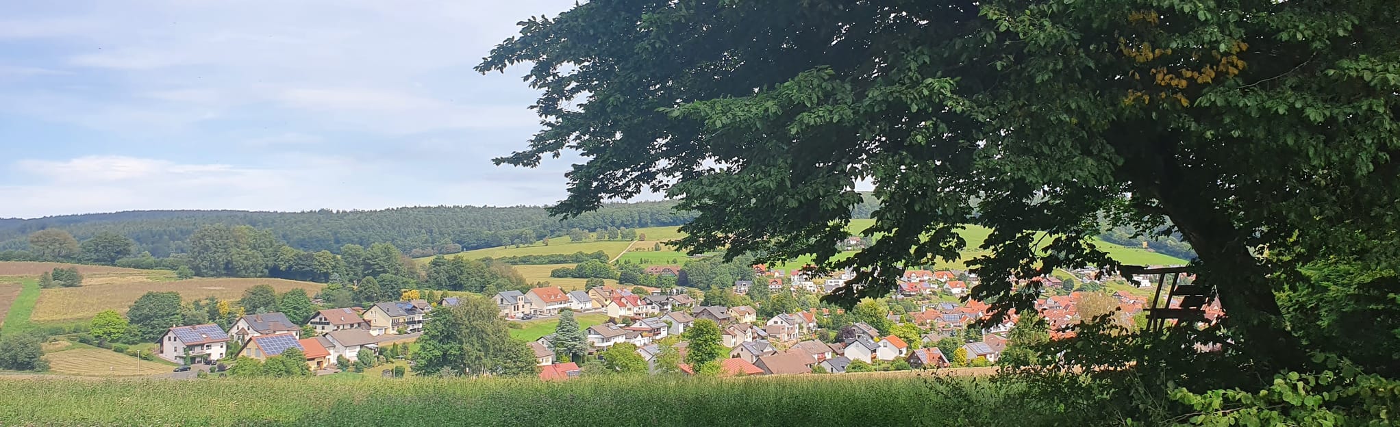 Schwarzer Keiler - Wiesen Loop - Bayern, Germany | AllTrails
