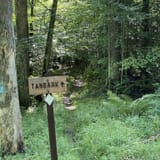 Tanbark Trail, Pennsylvania - 141 Reviews, Map | AllTrails
