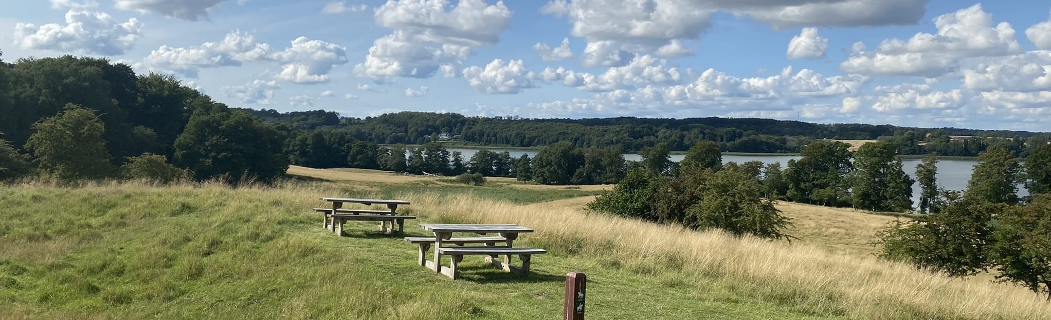 Dyrehaven Route 1 and 2: 13 Reviews, Map - Region of Southern Denmark, Denmark | AllTrails