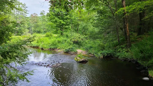 Best Hikes and Trails in Swift River Reservation | AllTrails