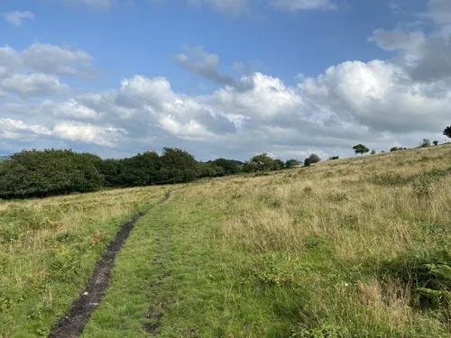 10 Best Short Trails in Mendip Hills National Landscape (AONB) | AllTrails