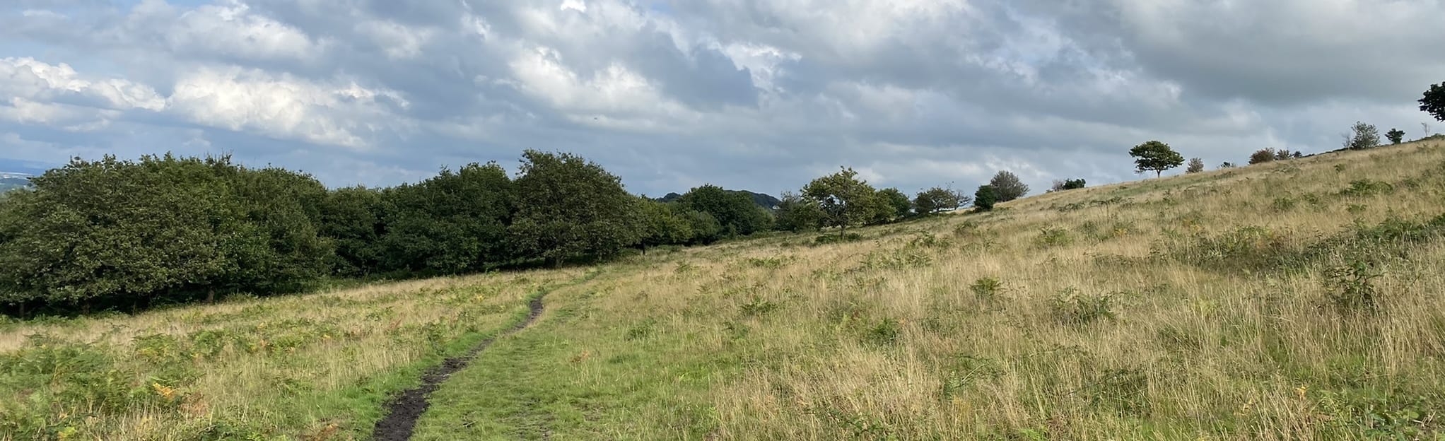 Beacon Batch Short Circular: 188 Fotos - Bristol, England | AllTrails