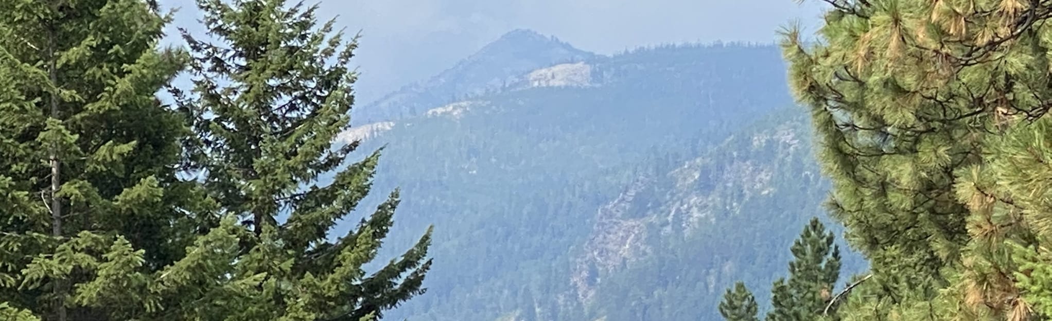 Waddell Creek Trail: 14 Reviews, Map - Montana | AllTrails