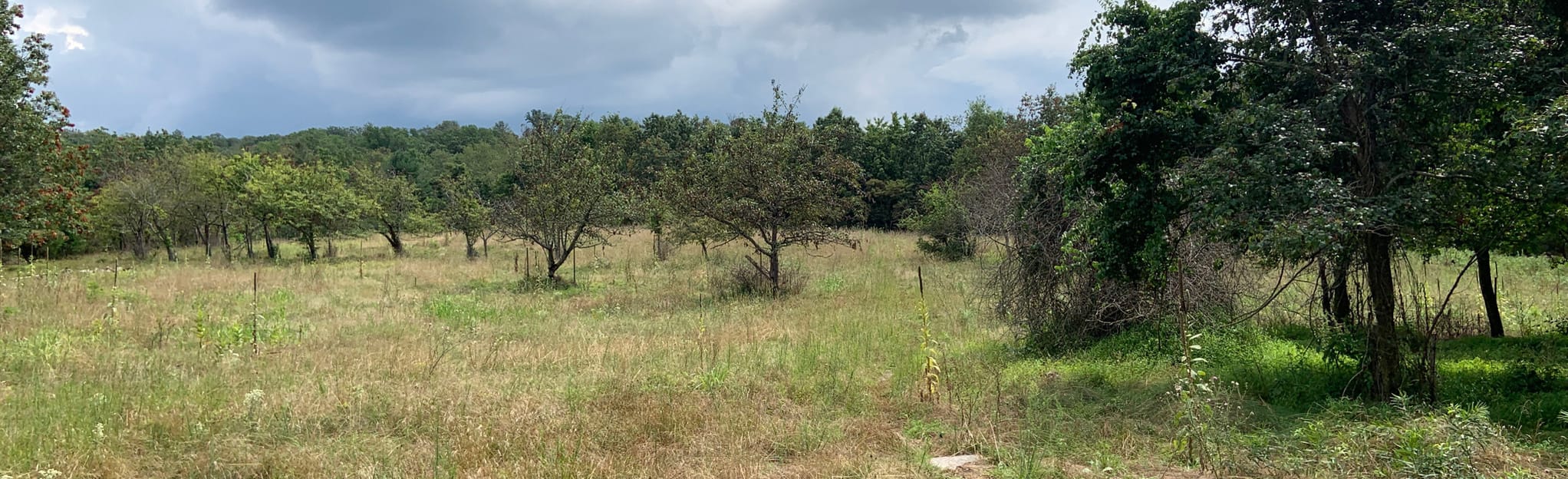 Heaven or Hell, Eagle Rock, Red Run and Turtle Trail Loop, Pennsylvania ...