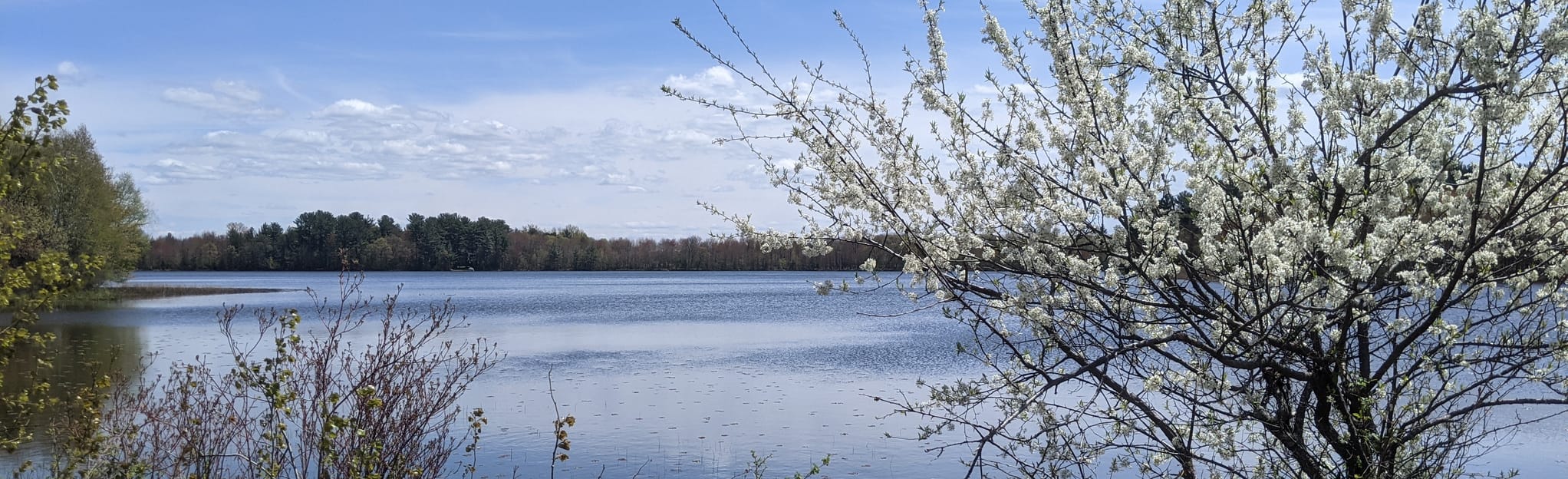 Irving and John Anderson Park Loop, Minnesota - 75 Reviews, Map | AllTrails