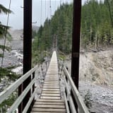 Tahoma Creek Suspension Bridge to Emerald Ridge Loop, Washington - 17 Reviews, Map | AllTrails