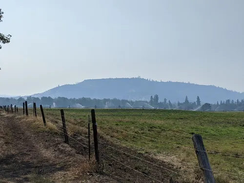 2023 Best Forest Trails in Eagle Point | AllTrails