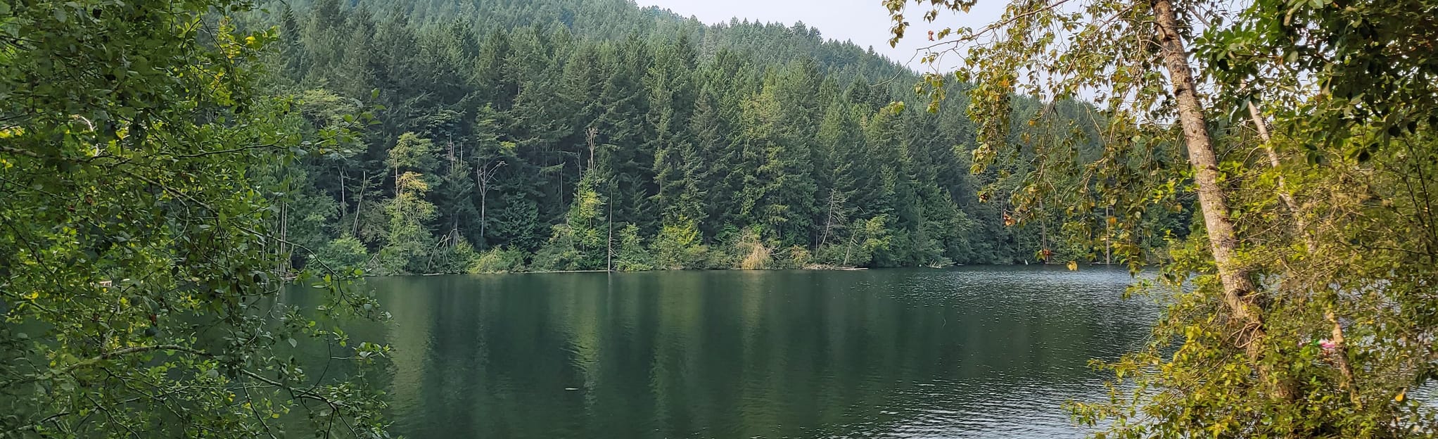 Cole Hill and Partridge Hills Loop | Mappa, Guida - British Columbia ...