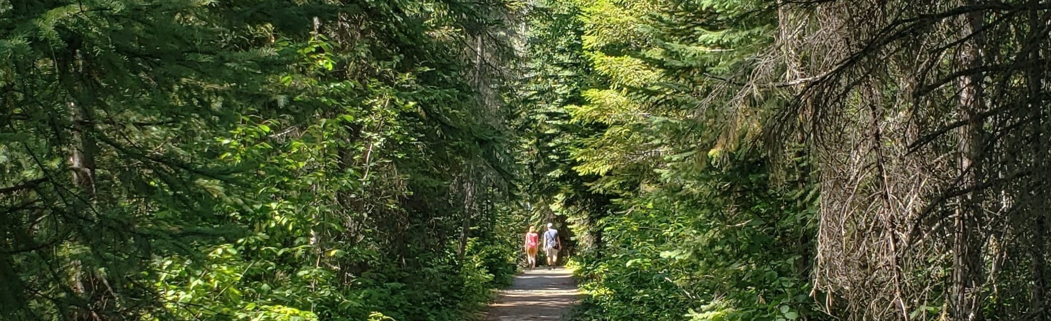 Bailey's Chute - British Columbia, Canada | AllTrails
