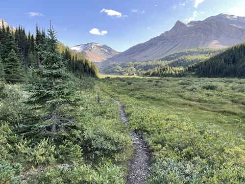 Best Beach Trails in Peter Lougheed Provincial Park | AllTrails