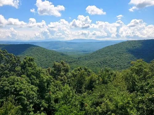 10 Best Trails and Hikes in Fort Valley | AllTrails