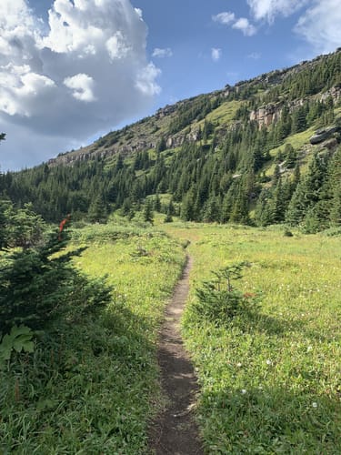 2023 Best 10 Trails and Hikes in Tumbler Ridge | AllTrails