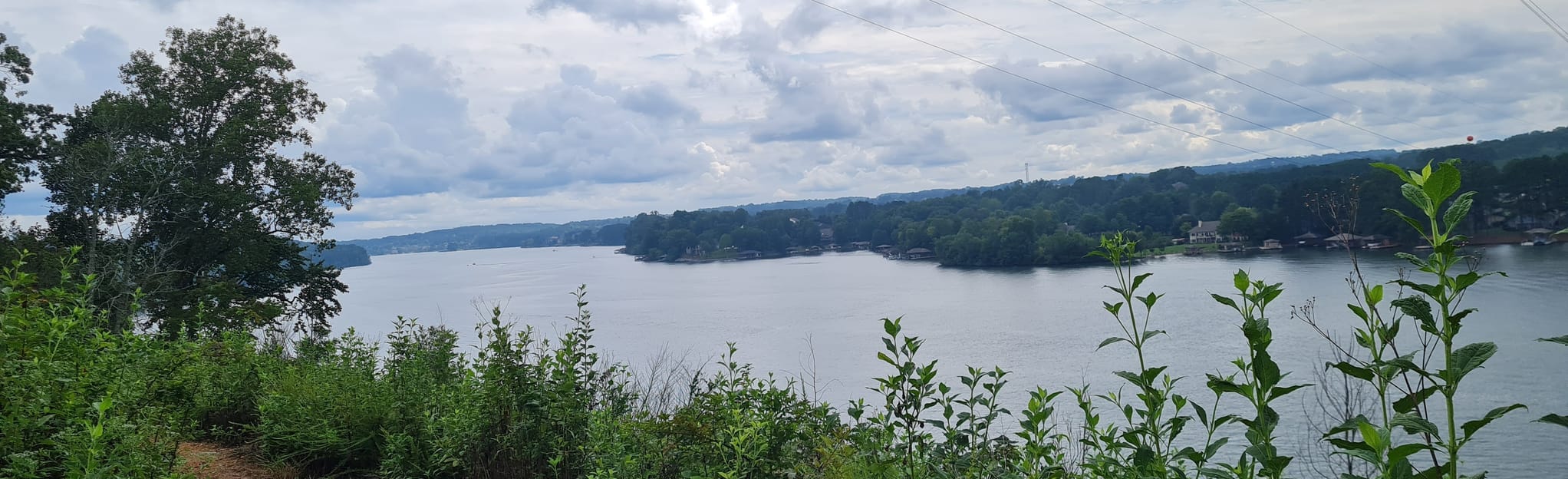 East Lakeshore Trail: Glendale Branch, Tennessee - 289 Reviews, Map ...