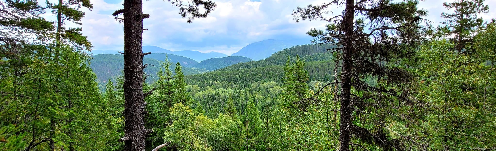 Kitselas - Steinhoe - Lichen Loop, British Columbia, Canada - 25 ...
