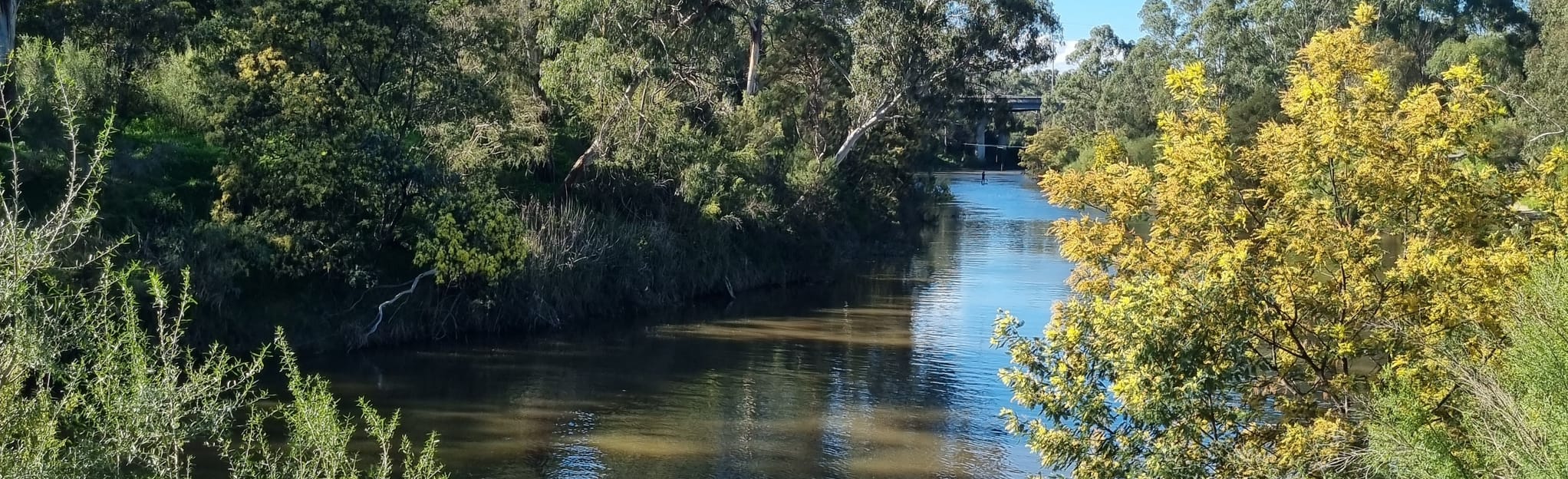 Westerfolds Park Small Loop: 38 foto's - Victoria, Australië | AllTrails