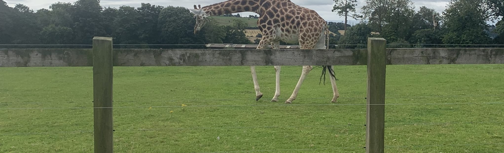 Fota Wildlife Park | Map, Guide - County Cork, Ireland | AllTrails
