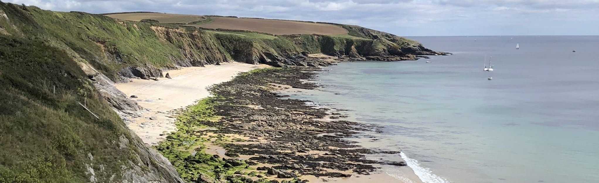 St Anthony’s Head to Bohortha Short Circular, Cornwall, England - 36 ...