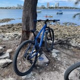 Virginia Key Trail, Florida - 1,380 Reviews, Map | AllTrails