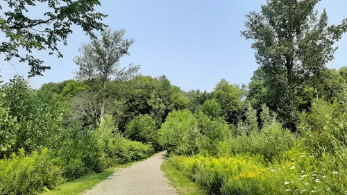 Best Hikes and Trails in Mer Bleue Conservation Area | AllTrails