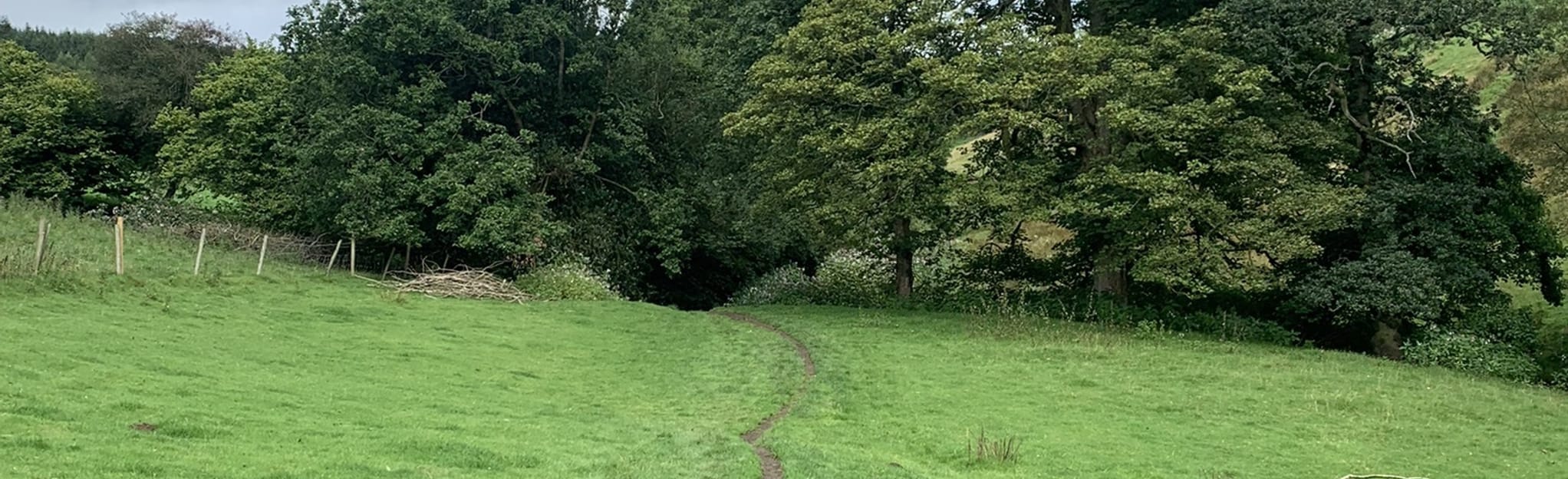 Whalley Abbey and River Calder: 120 Reviews, Map - Lancashire, England ...