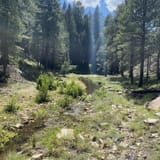 Cabin Loop Trail, Arizona - 244 Reviews, Map | AllTrails