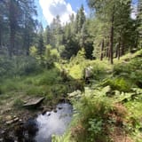 Cabin Loop Trail, Arizona - 224 Reviews, Map | AllTrails