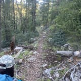 Cabin Loop Trail, Arizona - 226 Reviews, Map | AllTrails