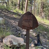 Cabin Loop Trail, Arizona - 250 Reviews, Map | AllTrails