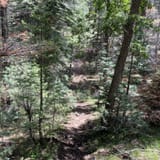 Cabin Loop Trail, Arizona - 226 Reviews, Map | AllTrails