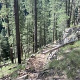 Cabin Loop Trail, Arizona - 250 Reviews, Map | AllTrails