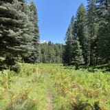 Cabin Loop Trail, Arizona - 226 Reviews, Map | AllTrails