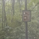 Paulinskill Valley Rail Trail , New Jersey - 163 Reviews, Map | AllTrails