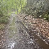 Paulinskill Valley Rail Trail , New Jersey - 163 Reviews, Map | AllTrails