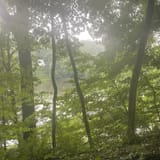 Paulinskill Valley Rail Trail , New Jersey - 163 Reviews, Map | AllTrails