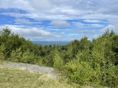 Best Hikes and Trails in Taconic Ridge State Forest | AllTrails