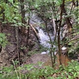 Paulinskill Valley Rail Trail , New Jersey - 136 Reviews, Map | AllTrails