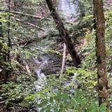 Paulinskill Valley Rail Trail , New Jersey - 136 Reviews, Map | AllTrails