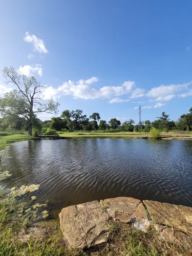 Best Hikes and Trails in Bastrop State Park | AllTrails