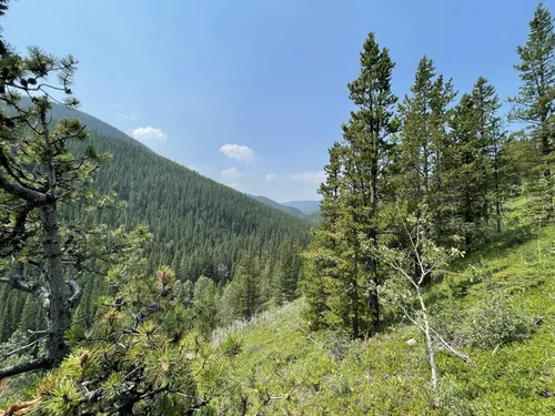 10 Best Trails and Hikes in Rocky View County | AllTrails