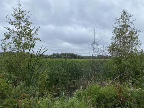 Best Hikes and Trails in North Cooking Lake Natural Area | AllTrails