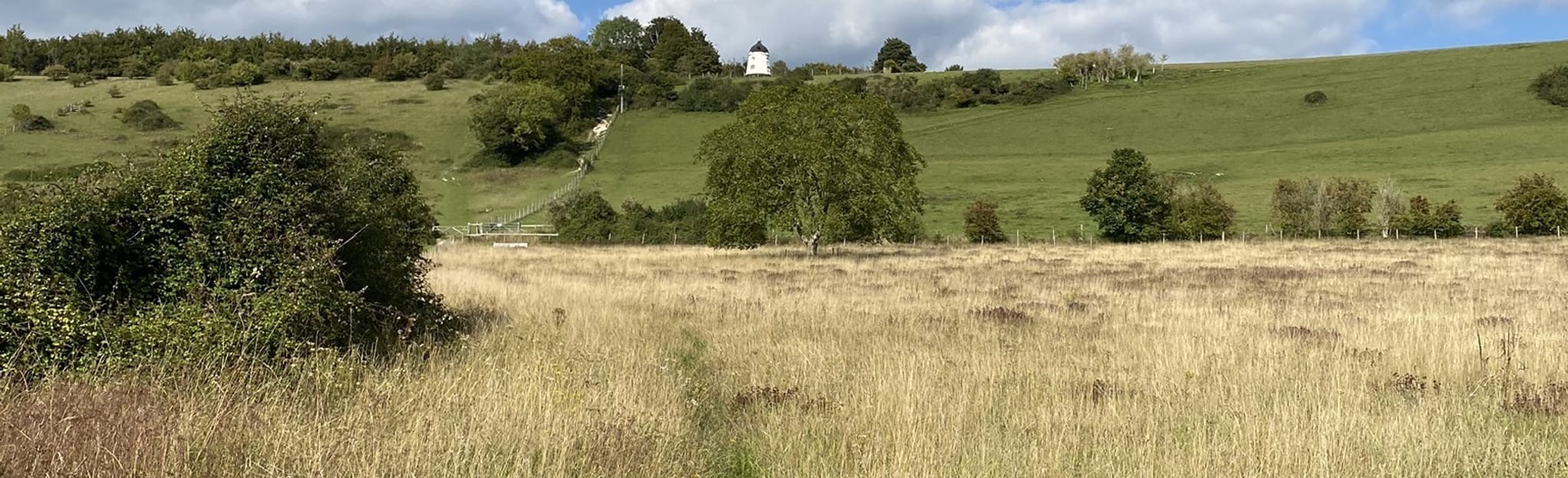 Turville and Great Wood Circular, Oxfordshire, England - 8 Reviews, Map ...