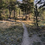 Mount Conness East Ridge, California - 172 Reviews, Map | AllTrails