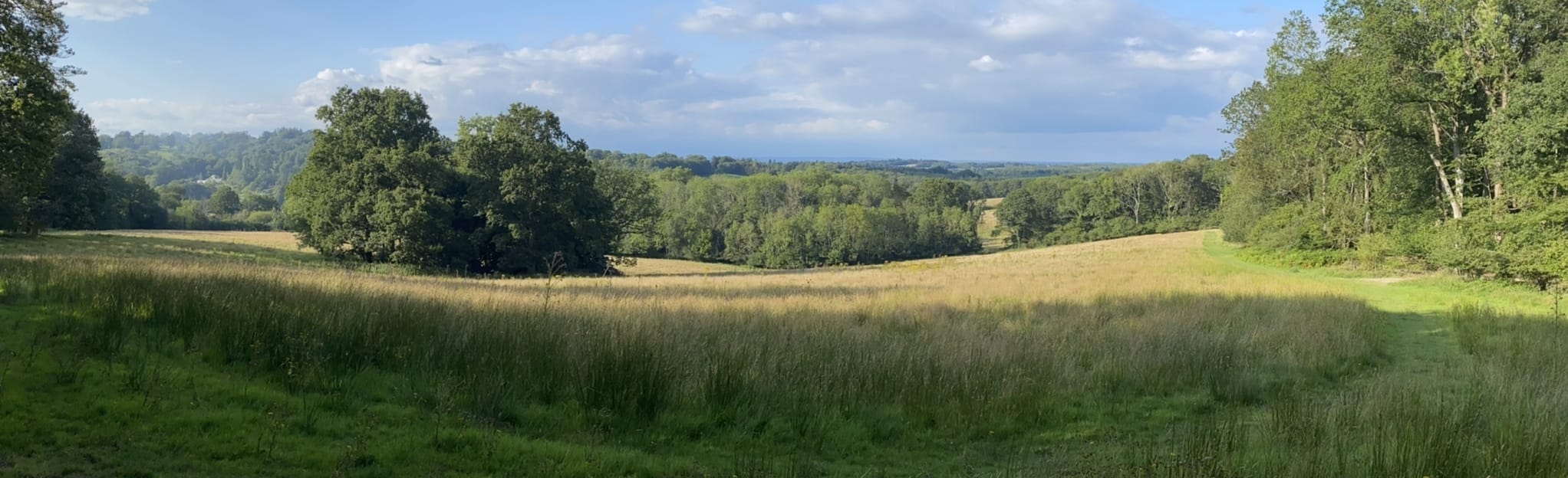 Weir Wood Circular: 9 Reviews, Map - East Sussex, England | AllTrails